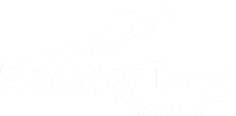 Adoptable Pets - Spotty Dog Rescue | Volunteer & Adopt