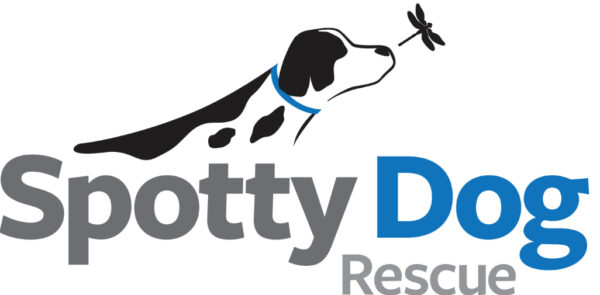 Spotty Dog Rescue | Volunteer & Adopt